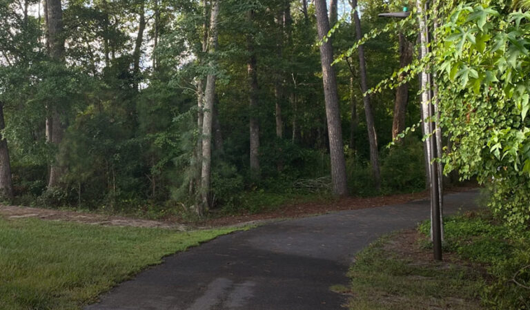 Myrtle Beach Bike Trails - Top 11 Paths for All Skill Levels