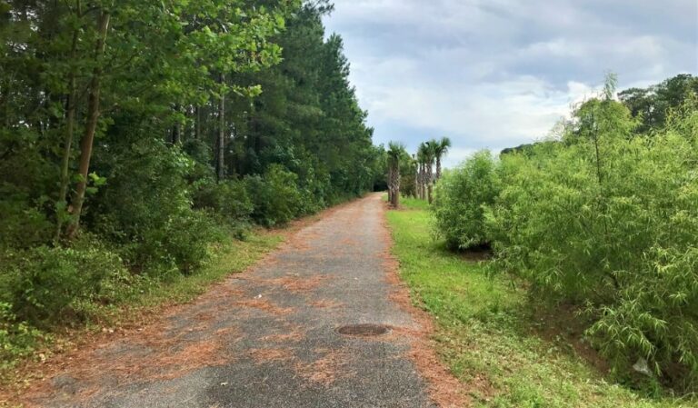Myrtle Beach Bike Trails - Top 11 Paths for All Skill Levels