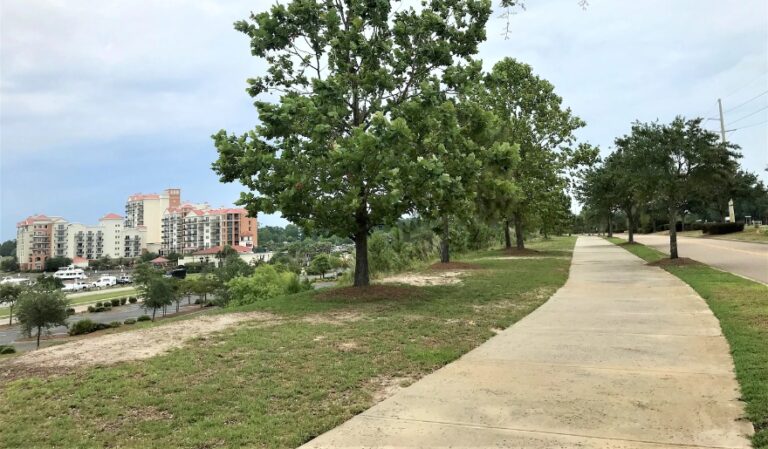 Myrtle Beach Bike Trails - Top 11 Paths for All Skill Levels