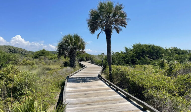 Myrtle Beach Bike Trails - Top 11 Paths for All Skill Levels